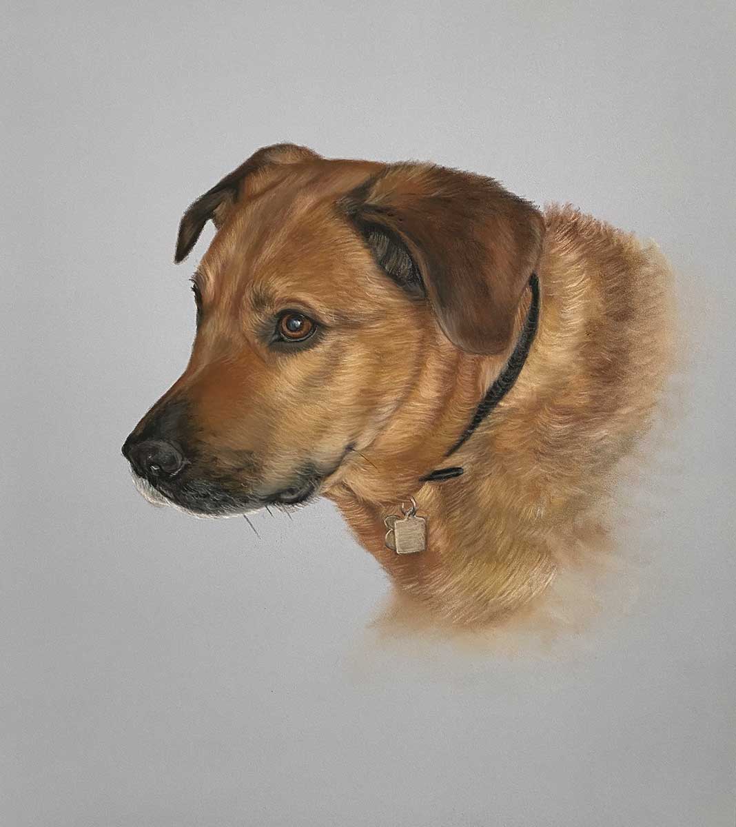 Dog Portraits | Beautiful Pet Portraits in pastel or oils